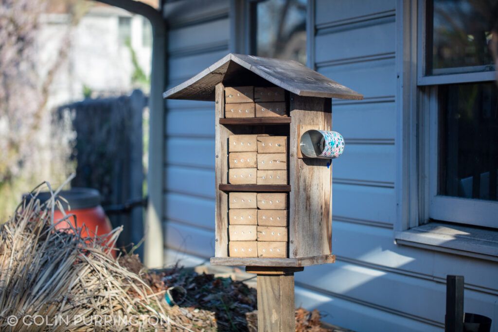 Guide to building and managing a mason bee hotel