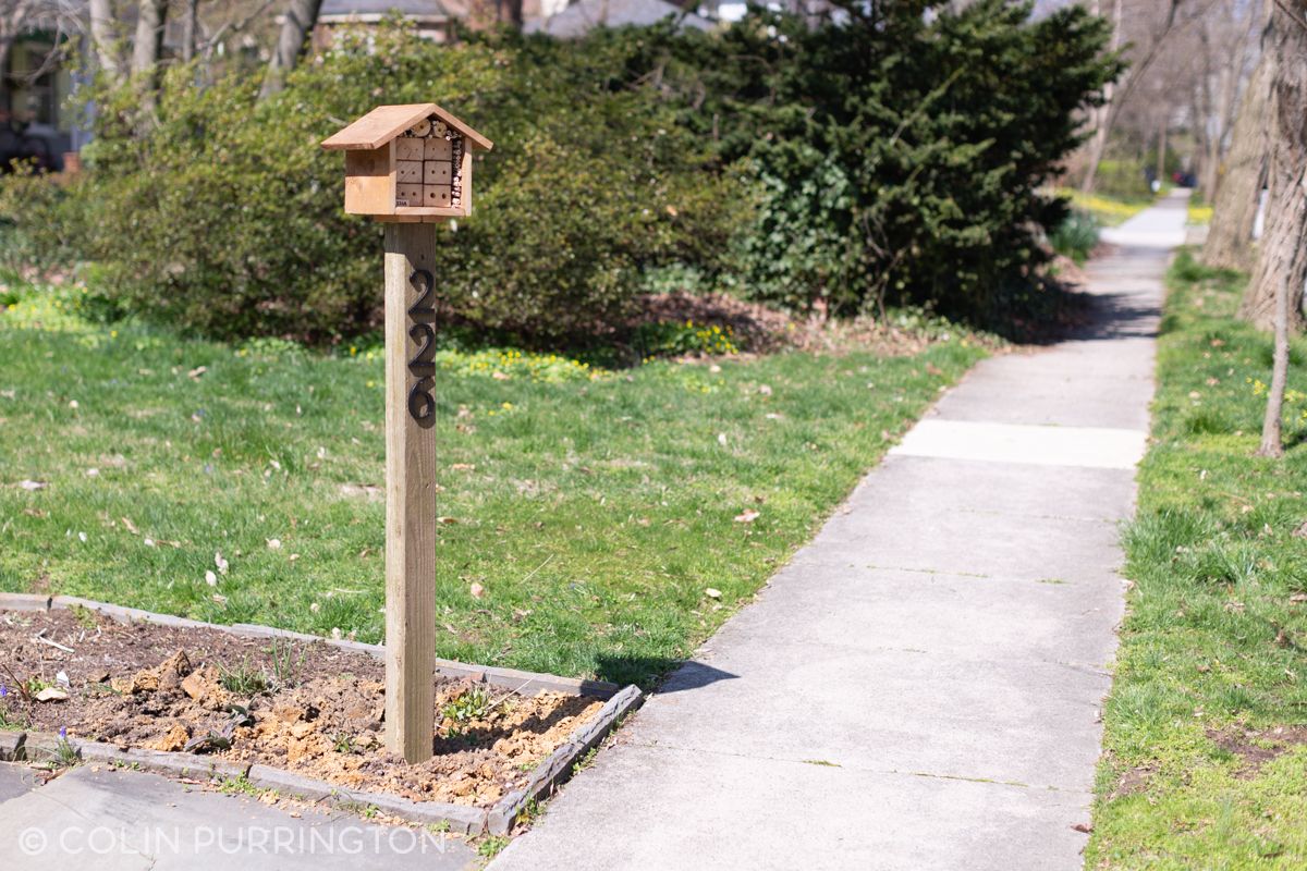 Guide to building and managing a mason bee hotel | Colin Purrington's blog