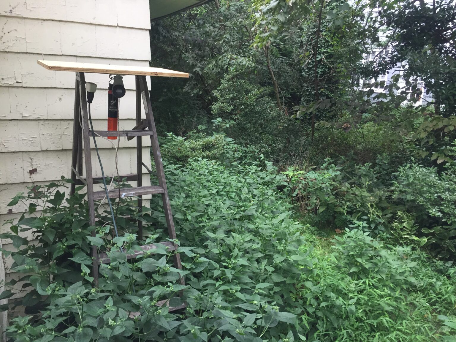 Does the Spartan Mosquito Pro Tech attract mosquitoes? | Colin ...