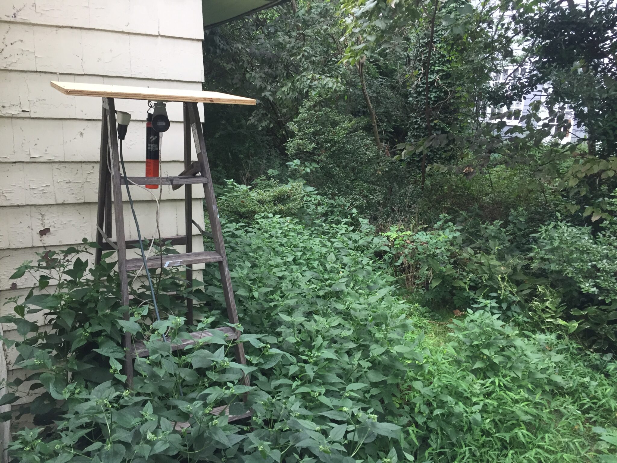 Spartan Mosquito Pro Tech review