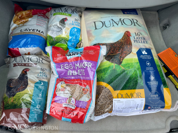 Chicken layer feed choice experiment » Colin Purrington's blog