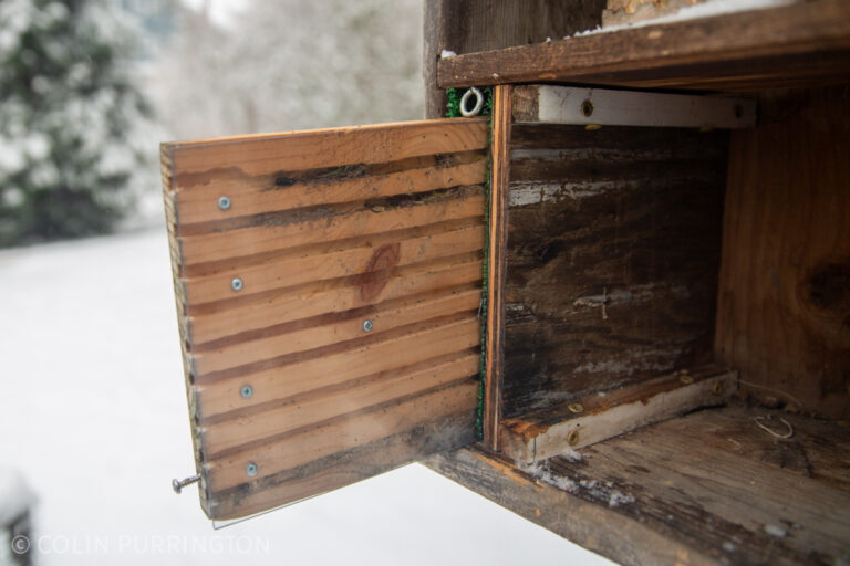 Colin Purrington » nature photography / natural history / misc