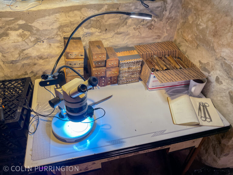 Colin Purrington » nature photography / natural history / misc