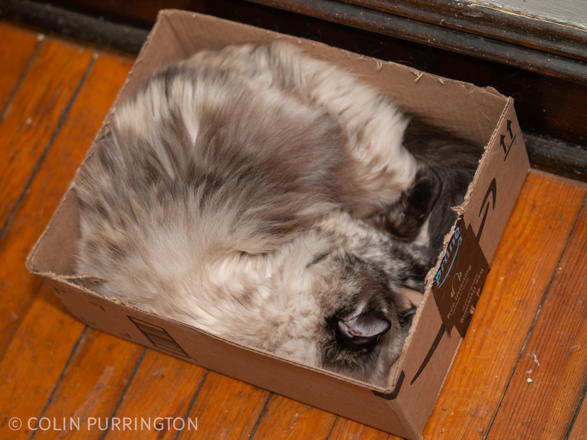 Colin Purrington's blog » nature photography / natural history / misc