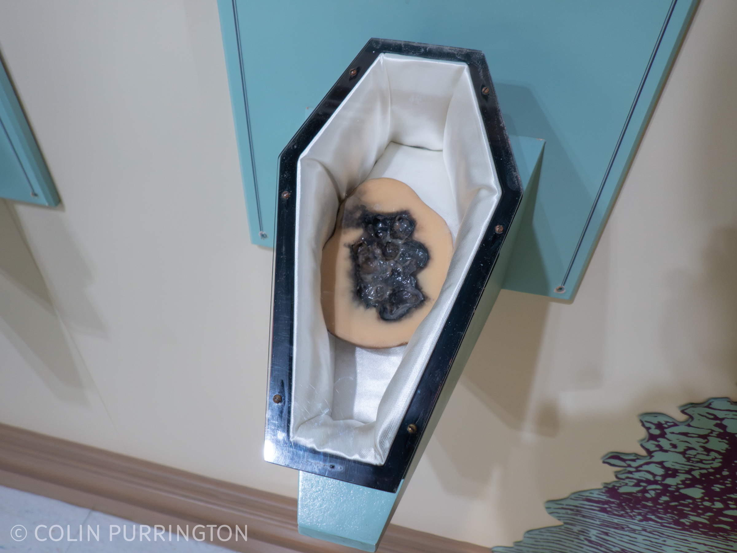 Gallery of dead potatoes in silk-lined coffins » Colin Purrington's blog